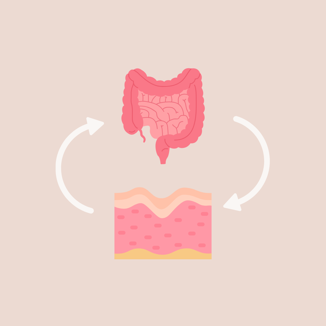 Understanding the Gut-Skin Connection – Krumbled Foods
